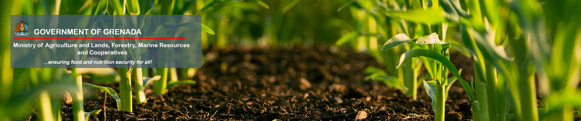 Ministry of Agriculture & Lands, Forestry, Marine Resources ...